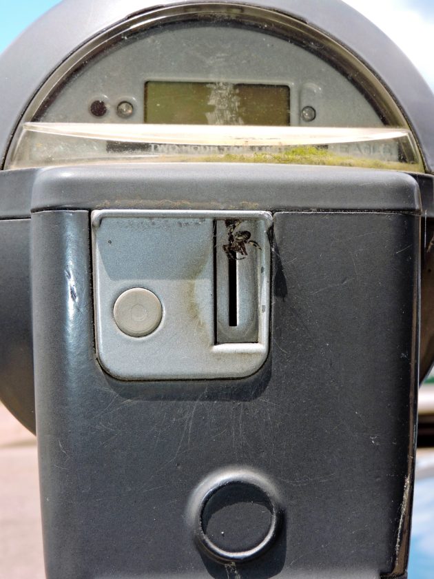 Spider Makes Meter Home in Martins Ferry | News, Sports, Jobs - The ...